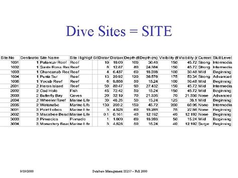 Database Design Logical Model And Normalization University Of
