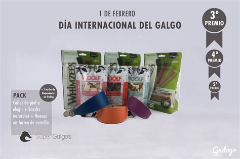 Día Internacional Del Galgo 2017 Gublog