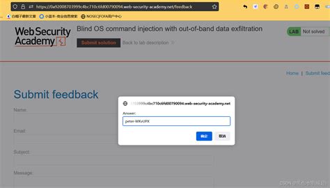 操作系统命令注入 5个实验（全） 云社区 华为云