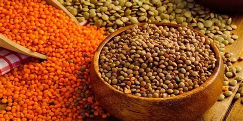 மைசூர் பருப்பில் இவ்வளவு ஆரோக்கிய நன்மை இருக்கா