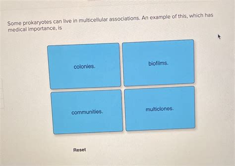 Solved Some Prokaryotes Can Live In Multicellular