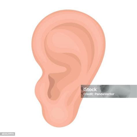 흰색 배경에 고립 된 만화 스타일에 귀 아이콘 몸 기호 주식 벡터 일러스트 레이 션의 일부입니다 귀 부분에 대한 스톡 벡터 아트 및 기타 이미지 Istock