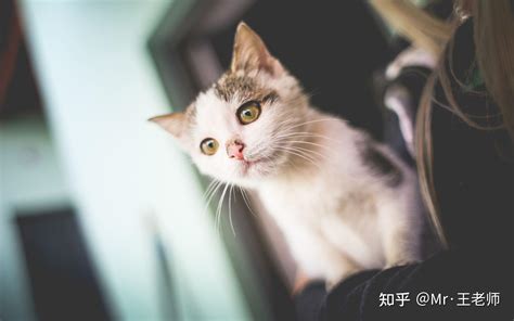 搞笑段子闺蜜说他还真不要不要的得亏姐缠的紧 知乎