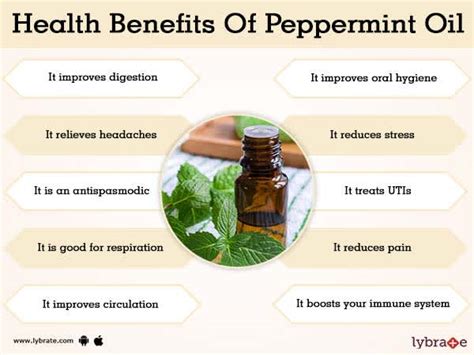 Benefits Of Peppermint Oil And Its Side Effects Lybrate