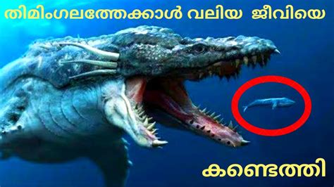 10 Biggest Sea Monsters Ever In Malayalam Youtube