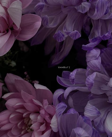 Цветы фиолетовый Plants Garden