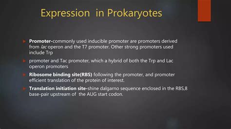 Gene Expression Vector By Tahura Mariyam Ansari Ppt
