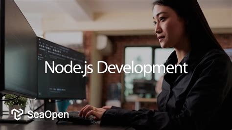 seaopen node js development