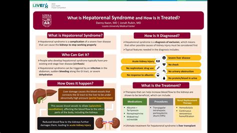 What Is Hepatorenal Syndrome How Is It Treated Types Causes My Xxx