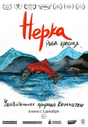 Нерка. Рыба красная / Дом Кино