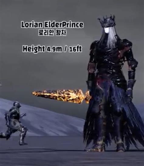 Standing Lorian Scares Me Scrolller
