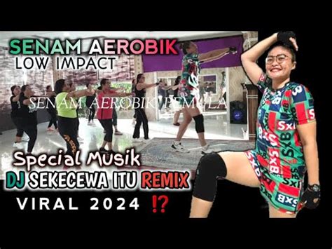 Senam Aerobik Low Impact Special Musik Dj Sekecewa Itu Remix Viral 2024 LiaMarliaChannel