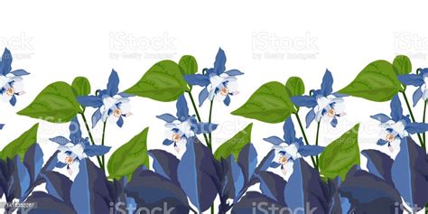 벡터 꽃 이음새가 없는 무늬 테두리 흰색 배경에 파란색 꽃과 녹색 잎이있는 수평 파노라마 디자인 매발톱속에 대한 스톡 벡터 아트 및 기타 이미지 Istock
