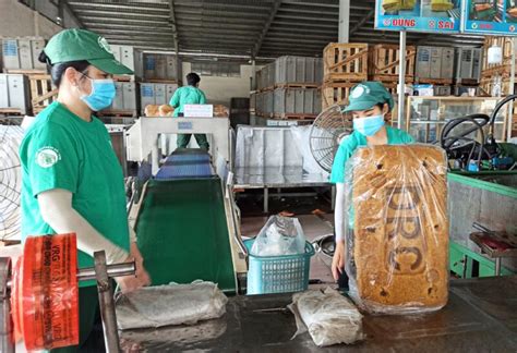 Công ty TNHH MTV Cao su Dầu Tiếng sản lượng chế biến đạt Công ty TNHH MTV Cao su Dầu Tiếng
