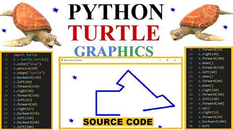 Python Turtle Graphics Source Code Xray Pixy Youtube