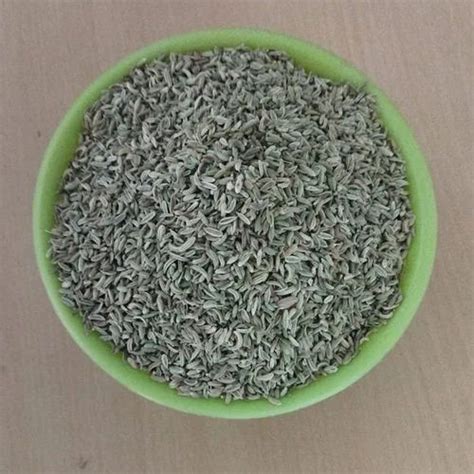 Green Fennel Seeds Packaging Type Loose At Rs 176kg In Erode Id