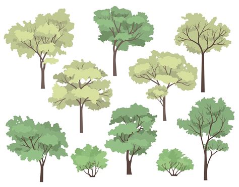 Set Of Flat Vector Trees Clipart Flat Vector Plant Illustration AI SVG PNG Etsy