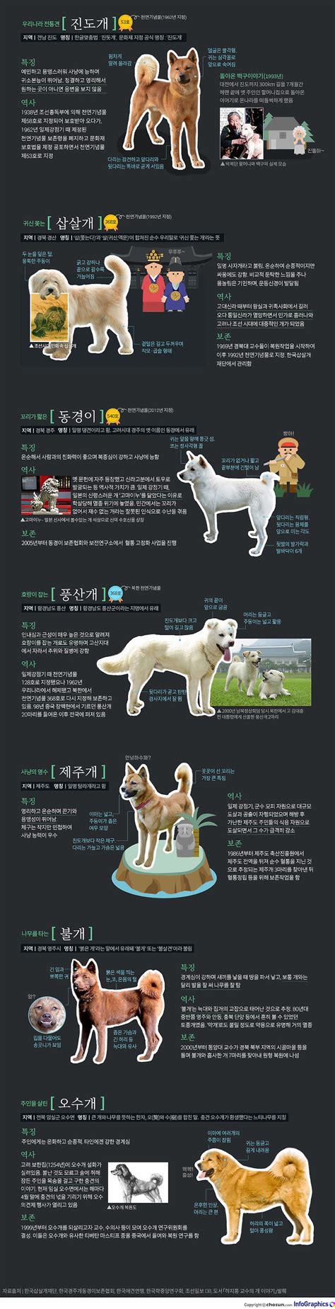 우리나라 토종개