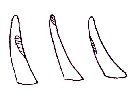 Pterosaur Database Hunterian Museum Glasgow