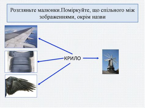 Лексичне значення слова. Однозначні й багатозначні слова.Тлумачний ...
