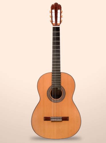 Guitarra Fernando Caldera Lidia 【 Descuento 5 AquÍ