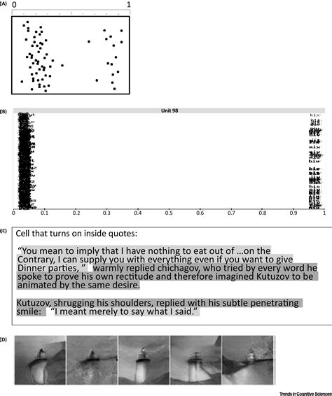 parallel distributed processing theory in the age of deep networks