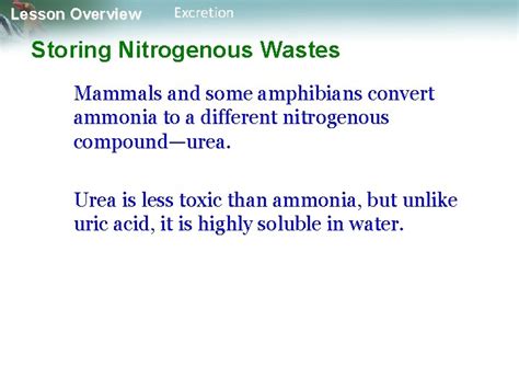 Lesson Overview Excretion Lesson Overview 27 4 Excretion