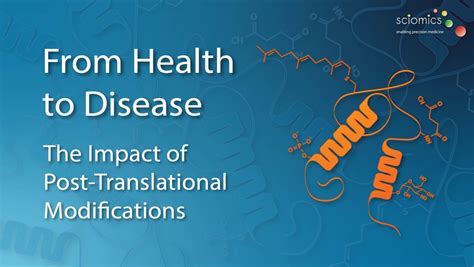 Decoding Protein Complexity The Fundamental Role Of Post Translational