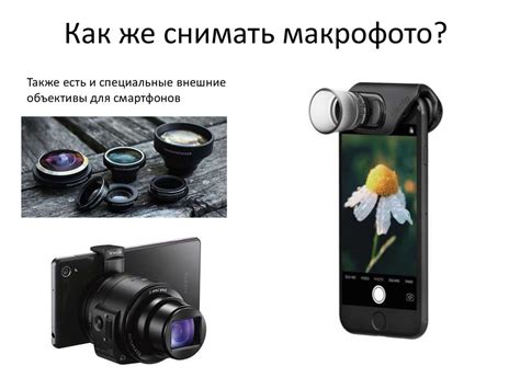Макрофотография презентация онлайн