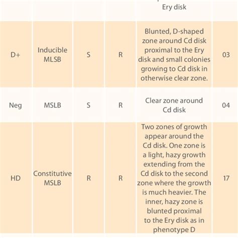 Characteristics Of Clindamycin Induction Test Phenotypes As Tested By