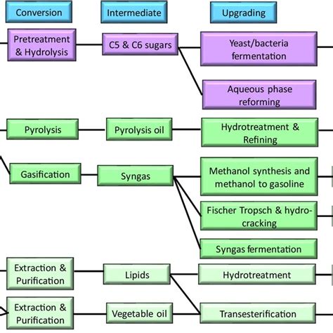 Conversion Of Biomass To Biofuel Download Scientific Diagram