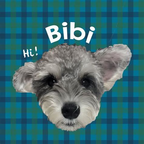 𝐁𝐢𝐛𝐢🤍🩶 Bibibi Log • Instagram Photos And Videos