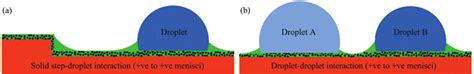 Meniscus Interactions And Droplet On Lubricant Cheerios Effect Concept