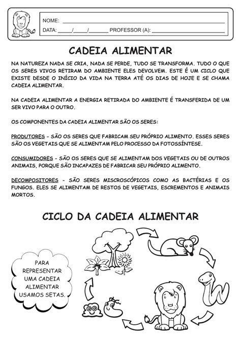 Atividades Sobre Cadeia Alimentar 4 Ano Em Pdf Retoedu