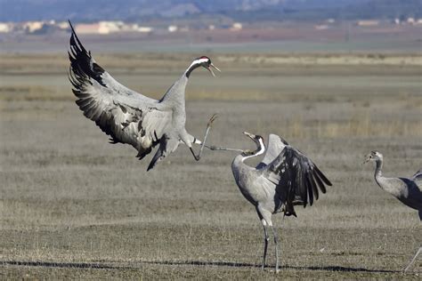 How To Set Boundaries And Speak Up With Confidence Using The Deso