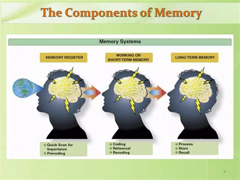 Cognitive Information Processing Approach Pptx