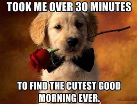 Funny Good Morning Memes For Her