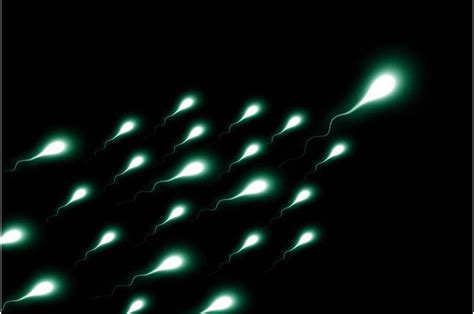 New Measure Of Sperm Age May Be Predictor Of Pregnancy Success