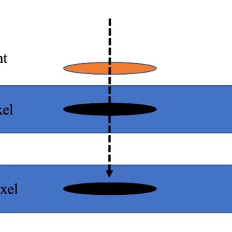 Cbi And Indices Point Sampling Diagram Download Scientific Diagram