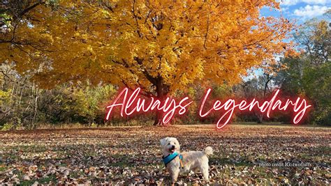 Ymca Of Springfield Added A New Photo Ymca Of Springfield