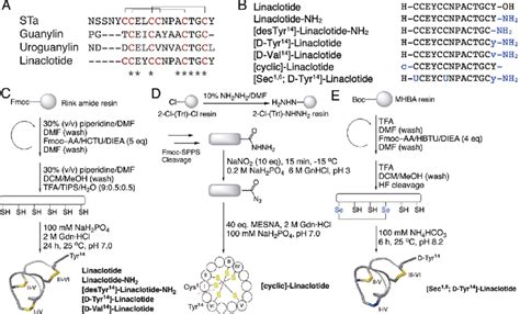 Design And Synthesis Of Linaclotide And Its Analogues A Linaclotide