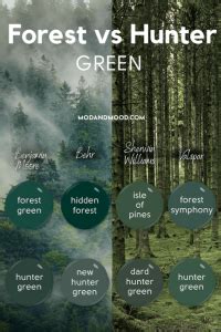 Hunter Green Vs Forest Green What Is The Difference Mod And Mood