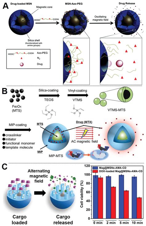a amino‐grafted fe3o4 sio2 nanoparticles and magnetic‐field‐controlled download scientific