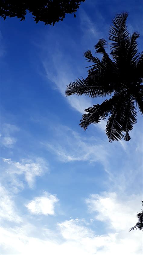 Fahiza Abdul Azeez Medium