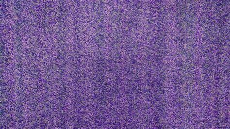 Premium Photo Abstract Texture Of Purple Grass Surface For Background