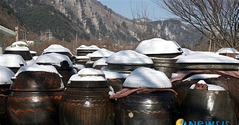 장독위에 소복히 쌓인 눈