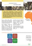 Produits biologiques des oasis de Kébili