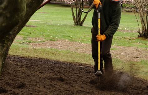Russell Tree Experts — Soil Compaction Not Good For Trees