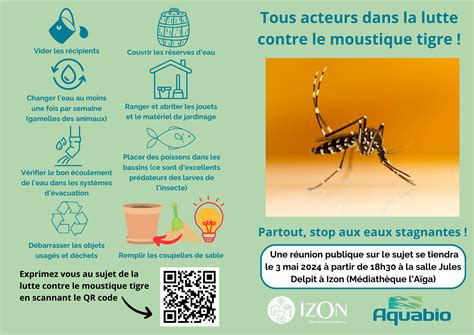 Lutte Contre Le Moustique Tigre Mairie Izon