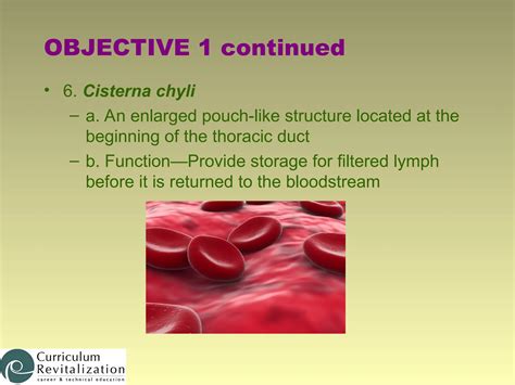 Lymphatic System Power Point Presentation Ppt